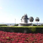 90-Minute Charleston City Sightseeing Bus Tour - The Itinerary in Detail
