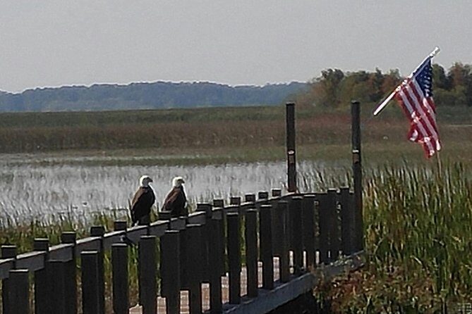90 minute Everglades Airboat Tour near Orlando Florida - Why This Tour Works for Travelers