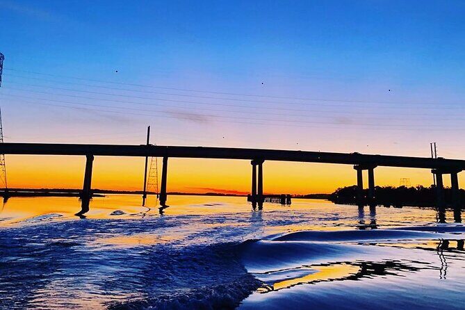 90 Minute Hilton Head Dolphin Tour - What Travelers Are Saying
