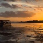 90 Minute Pontoon Cruise in Florida - Who Will Love This Tour?