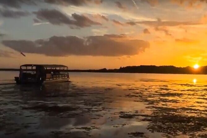 90 Minute Pontoon Cruise in Florida - Who Will Love This Tour?