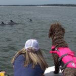 90-Minute Private Dolphin Tour in Hilton Head Island - An In-Depth Look at the Hilton Head Dolphin Tour