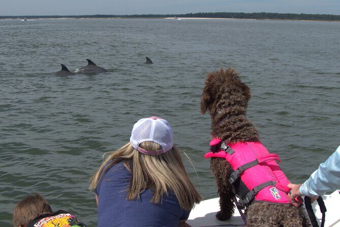 90-Minute Private Dolphin Tour in Hilton Head Island - An In-Depth Look at the Hilton Head Dolphin Tour