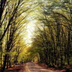 A Culinary Journey Through History and Nature - How the Experience Comes Together