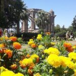 A Day Trip to Medieval FAMAGUSTA (Kyrenia, Nicosia or Famagusta ) - Who Should Consider This Tour?