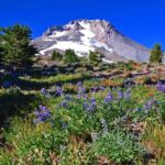 A Full Day Around Portland: City Tour + Visit the Waterfalls - A Day in Portland: City Highlights and Waterfalls Unveiled
