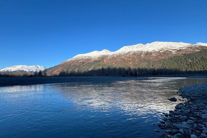 A Guided Alaskan Escape: Wildlife Sanctuary and Glacier Hiking - Deep Dive: What the Experience Means for You