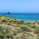 A La La Tour - Private Tour of California's Central Coast - Authentic Experiences and Genuine Hospitality