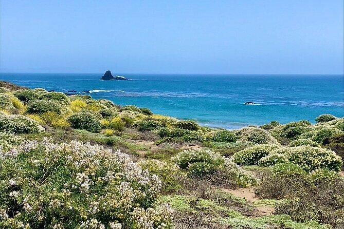 A La La Tour - Private Tour of California's Central Coast - Authentic Experiences and Genuine Hospitality