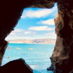 A Seaside Stroll: La Jolla's Hidden Treasures Self-Guided Tour - Discovering Marine Life and Hidden Caves