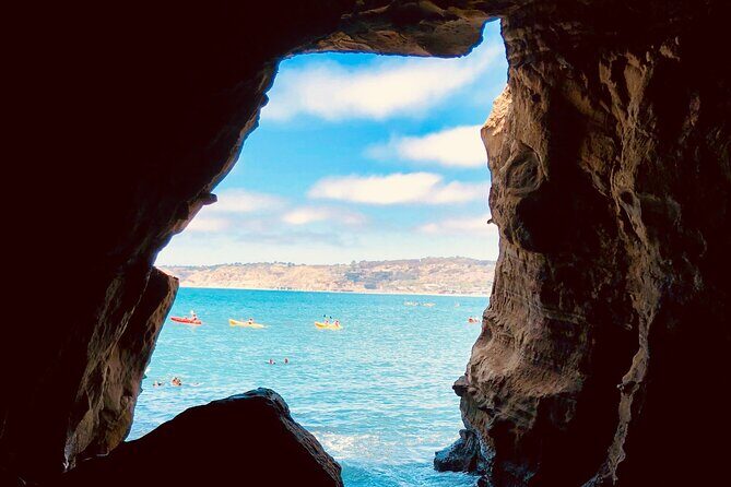 A Seaside Stroll: La Jolla's Hidden Treasures Self-Guided Tour - Discovering Marine Life and Hidden Caves