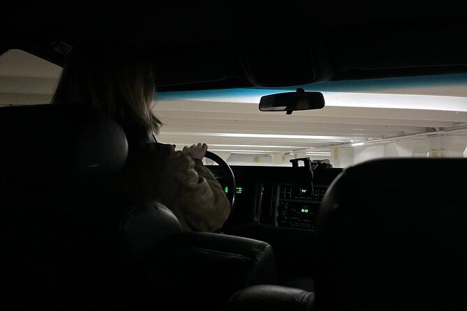 A Star is Torn funeral limo tour of LA - The Sum Up
