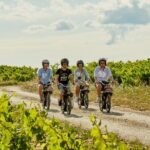 A Tour in Provence in a typical French motorized bike : the Solex - Itinerary Breakdown