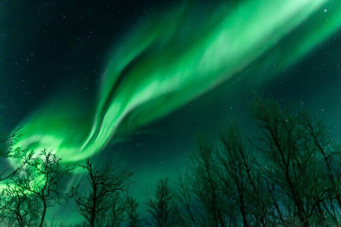 Abisko Northern Lights Tour with Photographer - The Cost and Value