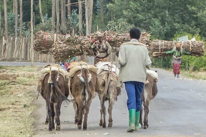 Addis Ababa +Mount Entoto View Point,Museums Palace Market Tours - Shiro Meda Market: A Hub of Textiles and Handwoven Goods