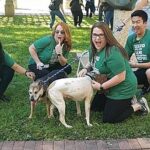 Adventurous Scavenger Hunt in Des Moines by Zombie Scavengers - How the Tour Breakdown Adds Value