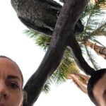 Adventurous Scavenger Hunt in Salinas by Zombie Scavengers - The Logistics: What’s Included & What’s Not