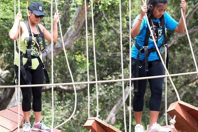 Aerial Challenge Course - Who Will Love This Tour?