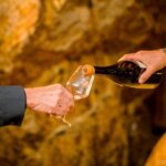 Afternoon Loire Valley Wine Tour from Tours or Amboise - A Deep Dive into the Loire Valley Experience