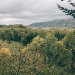 Afternoon Multnomah Falls and Gorge Waterfalls Tour - Authentic Perspectives from Reviewers