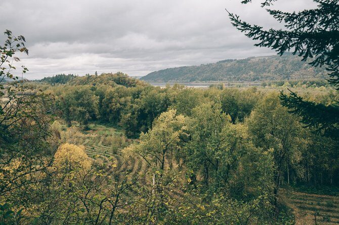 Afternoon Multnomah Falls and Gorge Waterfalls Tour - Authentic Perspectives from Reviewers