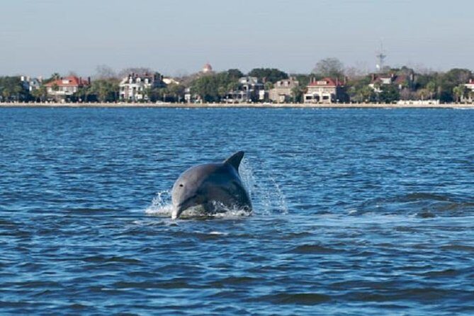Afternoon Schooner Sightseeing Dolphin Cruise on Charleston Harbor - Final Thoughts: Who Will Love This Cruise?