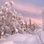 Afternoon Snowmobile Tour - Authentic Reviews and Personal Experiences