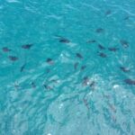 Afternoon Tradewind Sail from Waikoloa - Final Thoughts