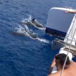 Afternoon West Maui Snorkel from Kaanapali Beach - Itinerary Breakdown: What to Expect