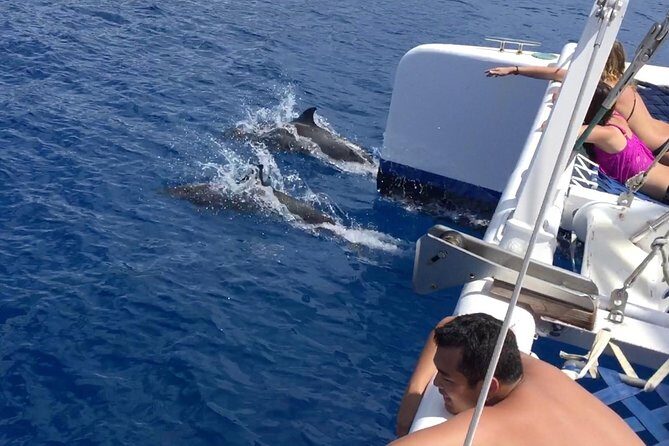 Afternoon West Maui Snorkel from Kaanapali Beach - Itinerary Breakdown: What to Expect