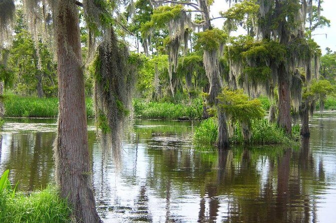 Airboat Swamp and Destrehan Plantation Tour from New Orleans - Who Should Consider This Tour?