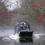 Airboat Tour of Louisiana Swamps - Who Will Love This Tour?