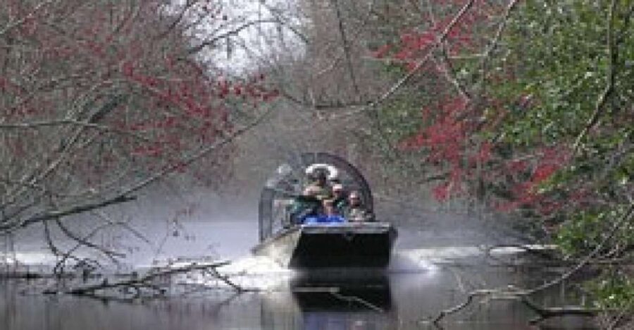 Airboat Tour of Louisiana Swamps - Who Will Love This Tour?