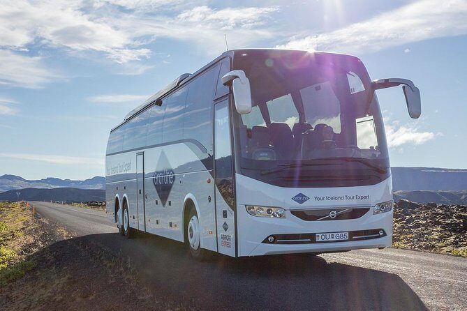 Airport Express Shared Arrival Transfer from Keflavik Airport to Reykjavik City - The Fine Details: What to Expect