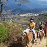 Alanya: Horse Riding Club Transfer Service - Detailed Breakdown of the Itinerary