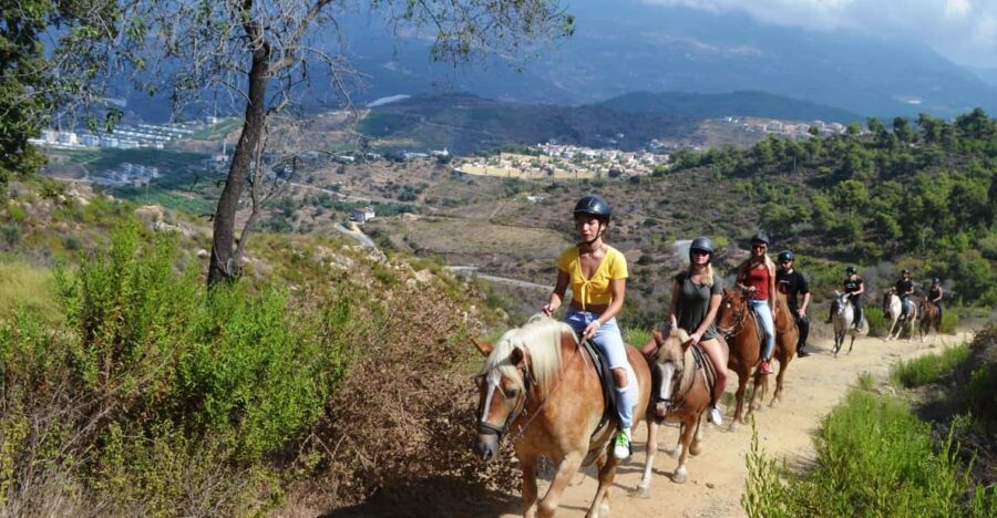 Alanya: Horse Riding Club Transfer Service - Detailed Breakdown of the Itinerary