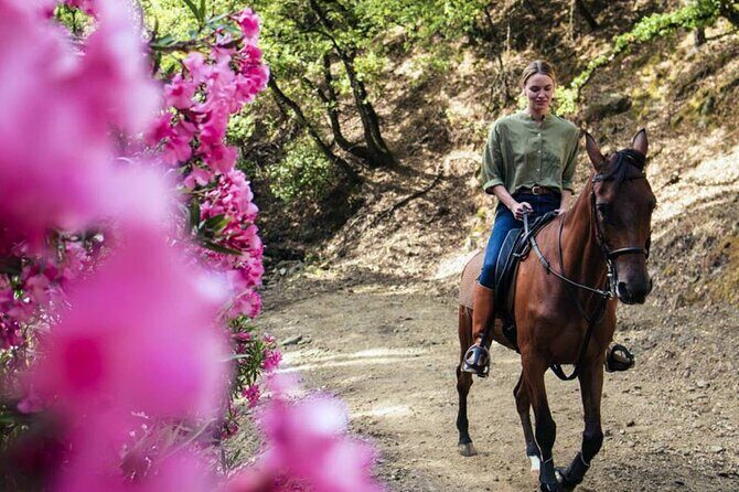 Alanya Horse Riding Experience With Free Hotel Transfer - Why This Tour Offers Value for Travelers