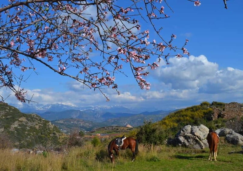 Alanya: Horseback Ride Through Nature near Syedra Ruins - The Authenticity and Ethical Appeal of This Tour