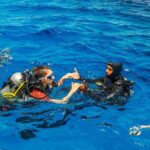 Alanya Scuba Diving with Hotel Transfer incl. Lunch - Does the Price Reflect the Value?