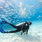 Alanya Scuba Diving With Lunch and Transfer - The Safety Briefing and Getting Ready