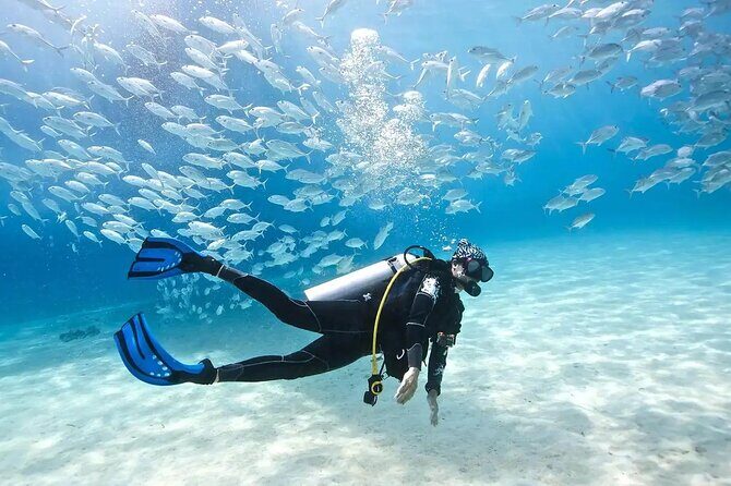 Alanya Scuba Diving With Lunch and Transfer - The Safety Briefing and Getting Ready