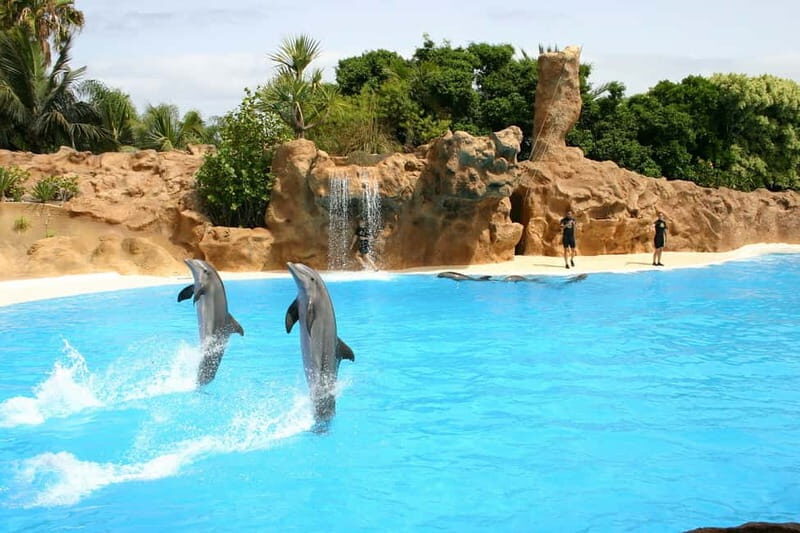 Alanya: Sealanya Dolphinpark Dolphin Show Tour - An In-Depth Look at What the Tour Offers