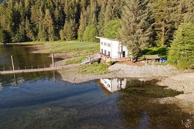 Alaska Bears and Silver Bay Homestead - FAQs