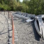 Alaska Native Heritage Center Admission Ticket - The Main Site: Native Dwellings & Demonstrations