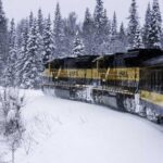 Alaska Railroad Aurora Winter Anchorage to Fairbanks One Way - Dining and Amenities