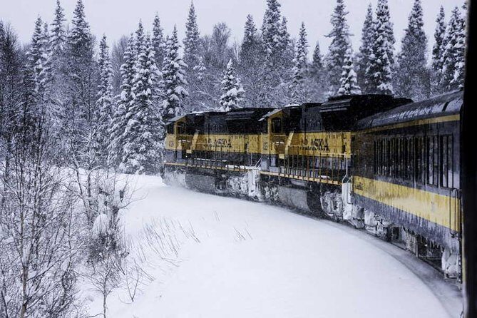 Alaska Railroad Aurora Winter Anchorage to Fairbanks One Way - Dining and Amenities