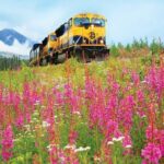 Alaska Railroad Denali to Anchorage One Way - The Practicalities and Considerations