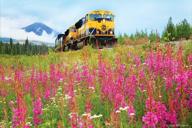 Alaska Railroad Denali to Anchorage One Way - The Practicalities and Considerations