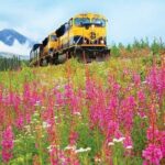 Alaska Railroad Denali to Fairbanks One Way - The Journey: A Visual Feast