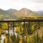 Alaska Railroad Fairbanks to Denali One Way - Practical Details and Logistics